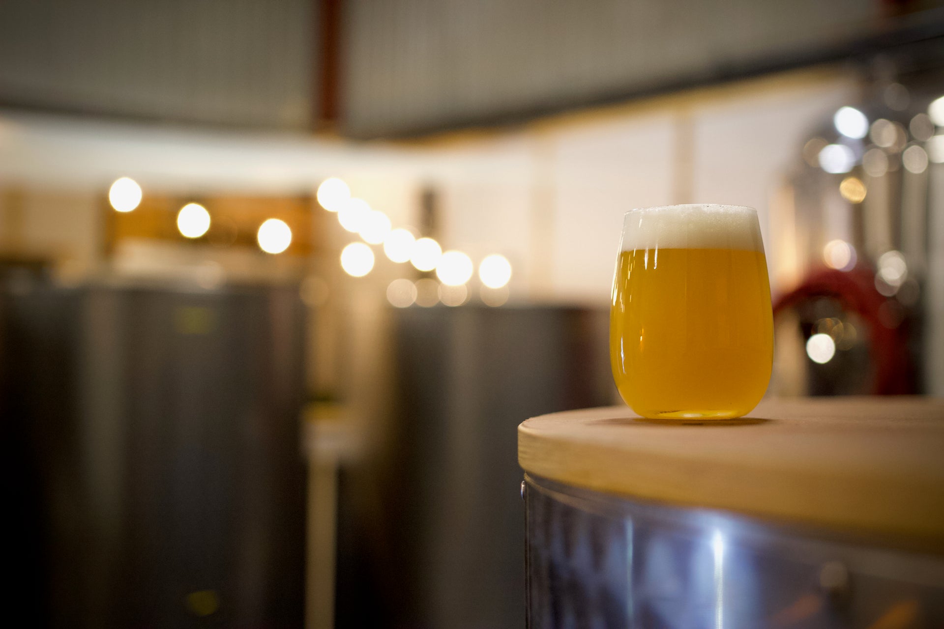 Moot Brew Co Brewery & Taproom